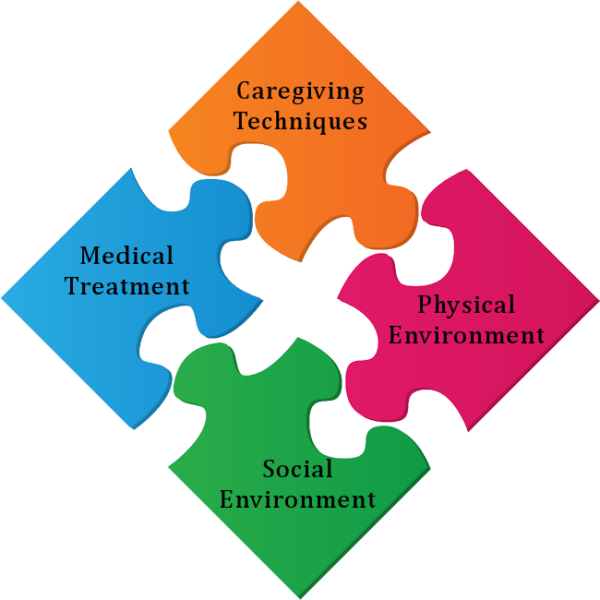 care model - Alzheimer Disease and Dementia Care - Des Moines, IA ...